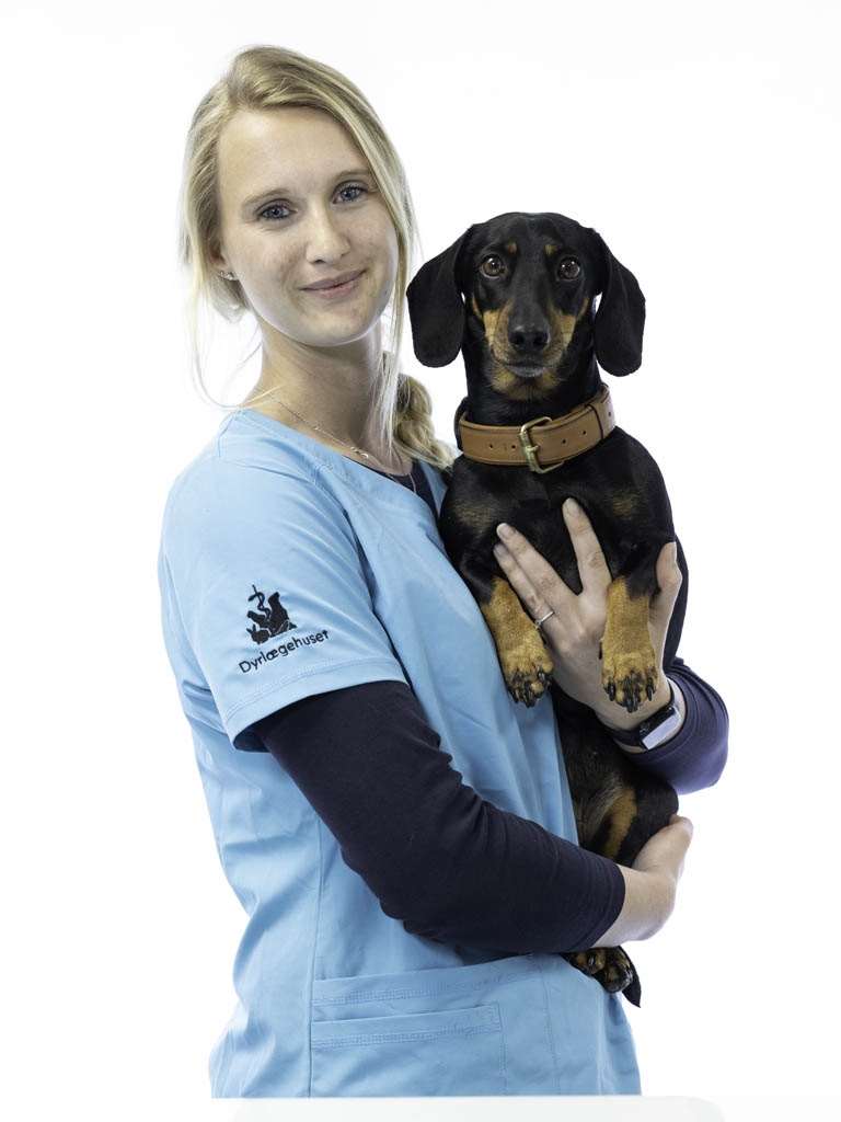Personale i Hornsyld dyreklinik | Se billeder og beskrivelser her